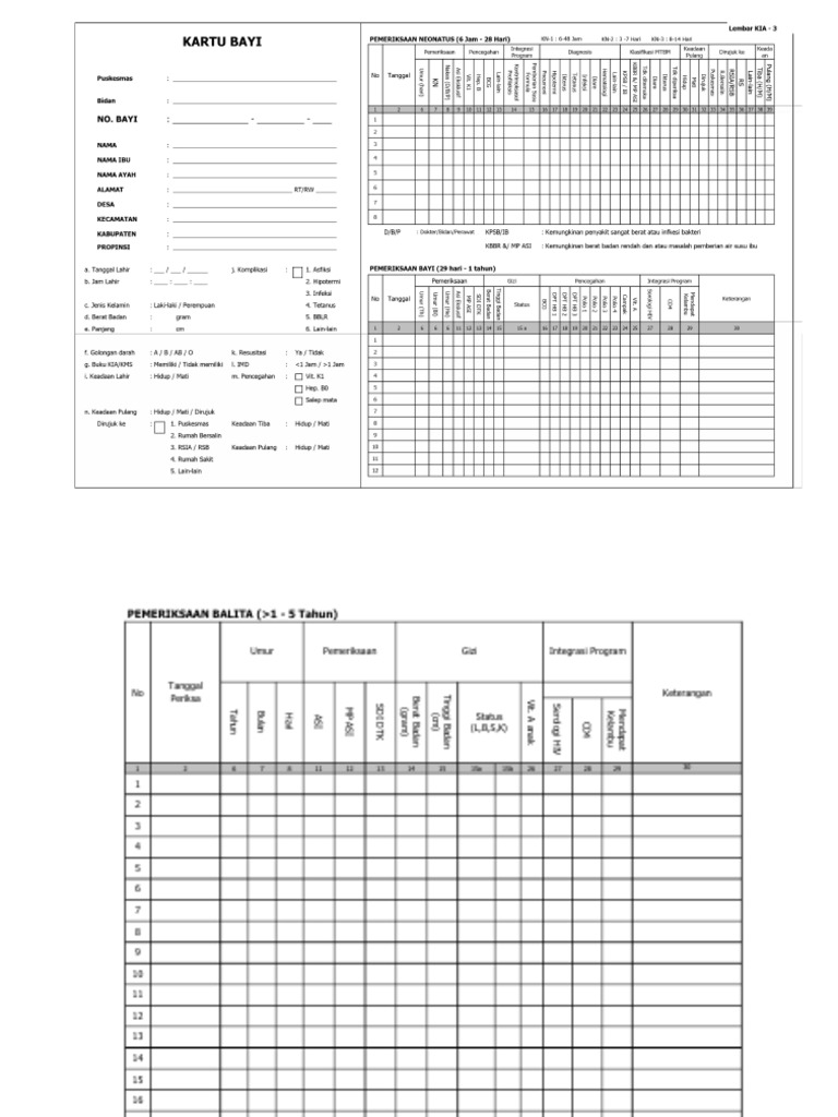 Format Kohort Bayi Dan Anak Balita | PDF
