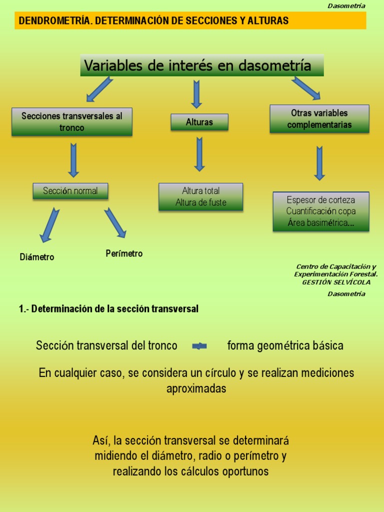 Dendrometría | PDF | Medición | Arboles