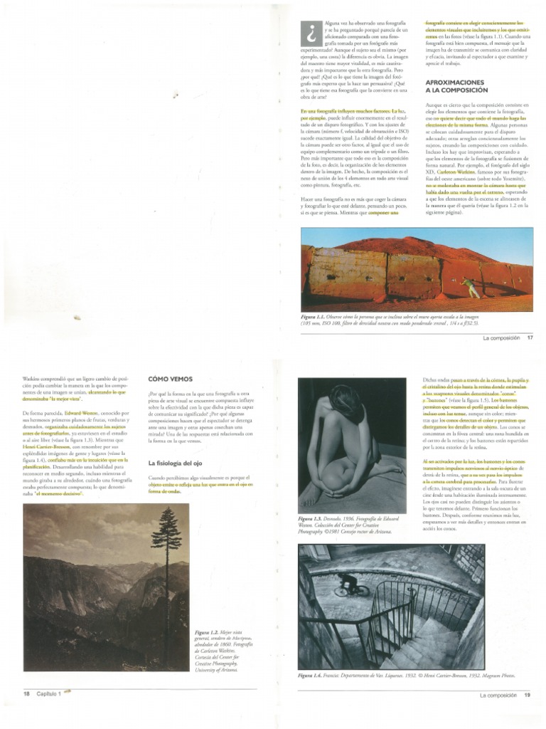 La Composicion en La Fotografia - Blue Fier ANAYA | PDF