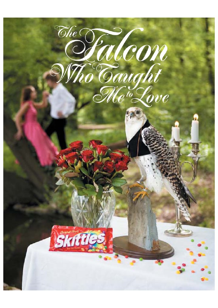 Skittles Brand Book | PDF