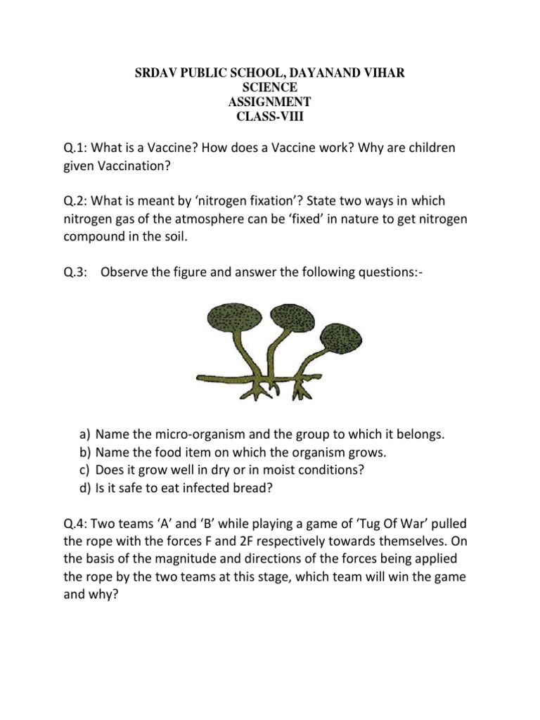 Srdav Public School, Dayanand Vihar Science Assignment Class-Viii | PDF