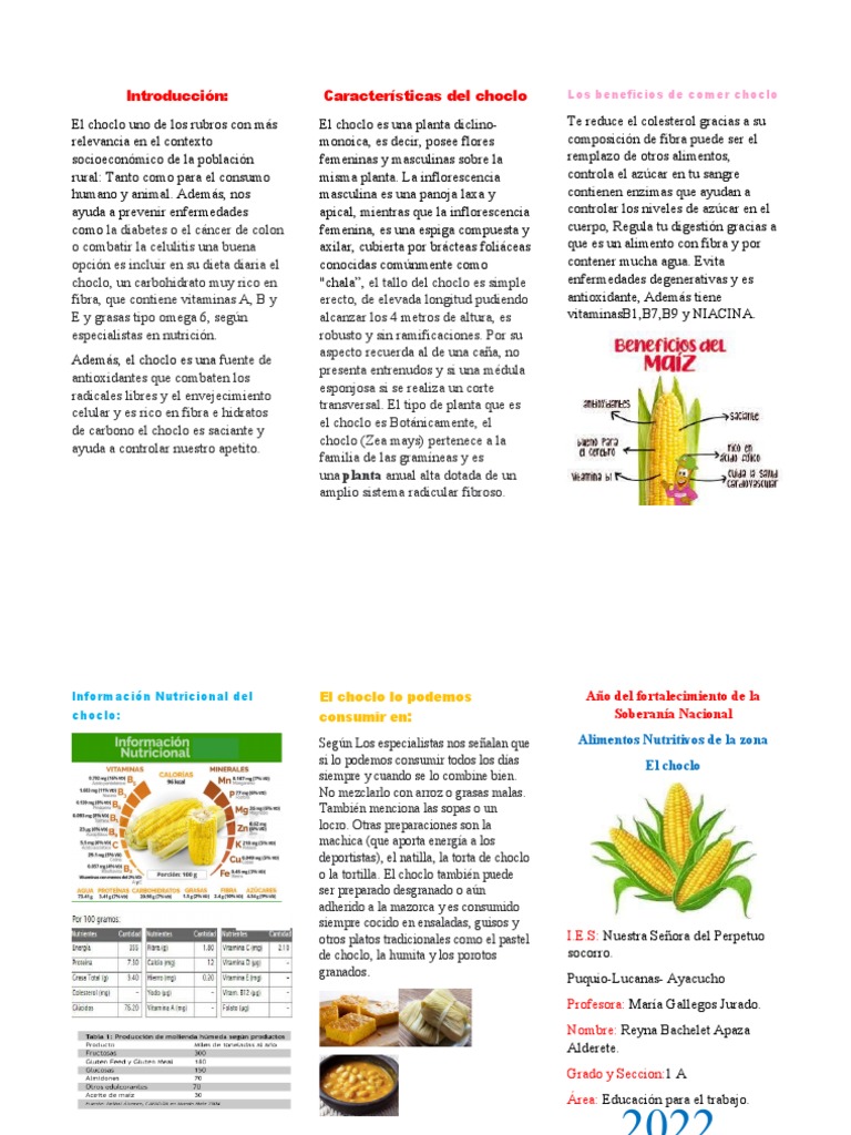 Triptico Del Choclo | PDF | Maíz | Alimentos