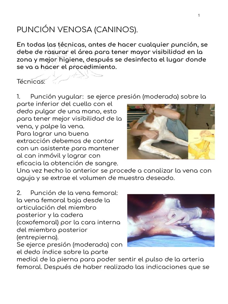 Punciones. F - C. | PDF | Medicina CLINICA | Especialidades Medicas
