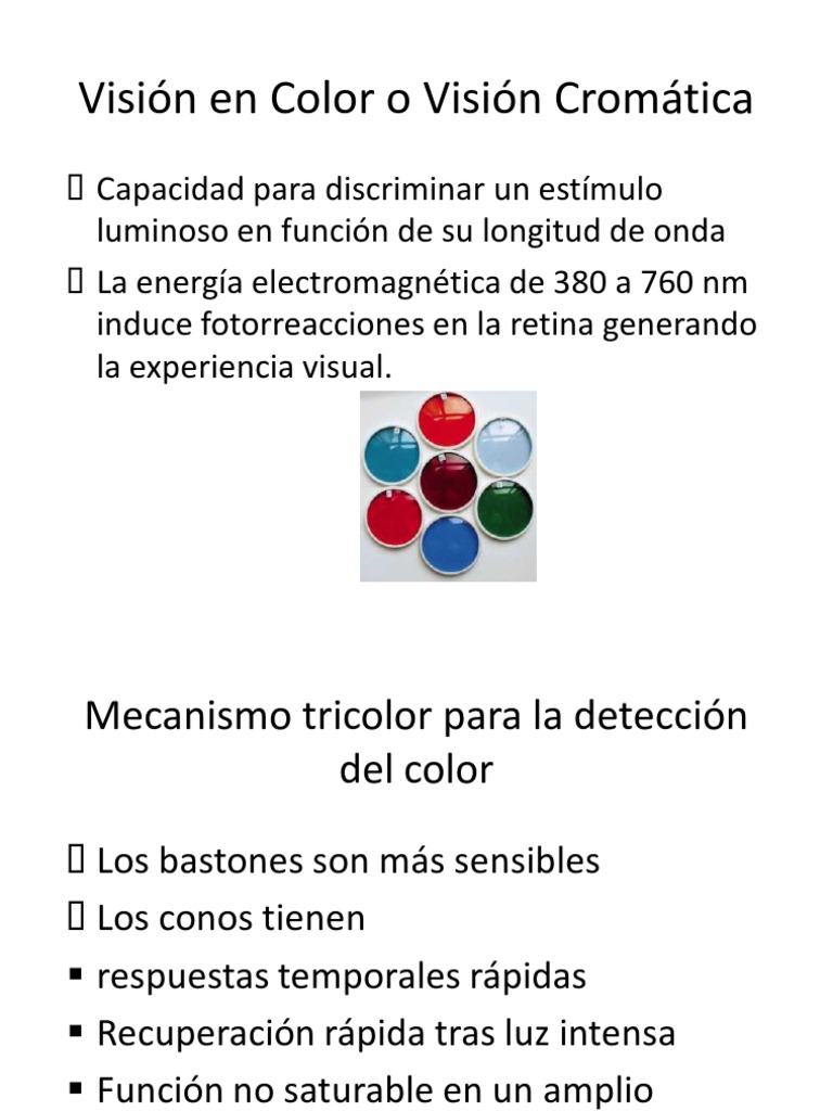Visión en Color o Visión Cromática | PDF