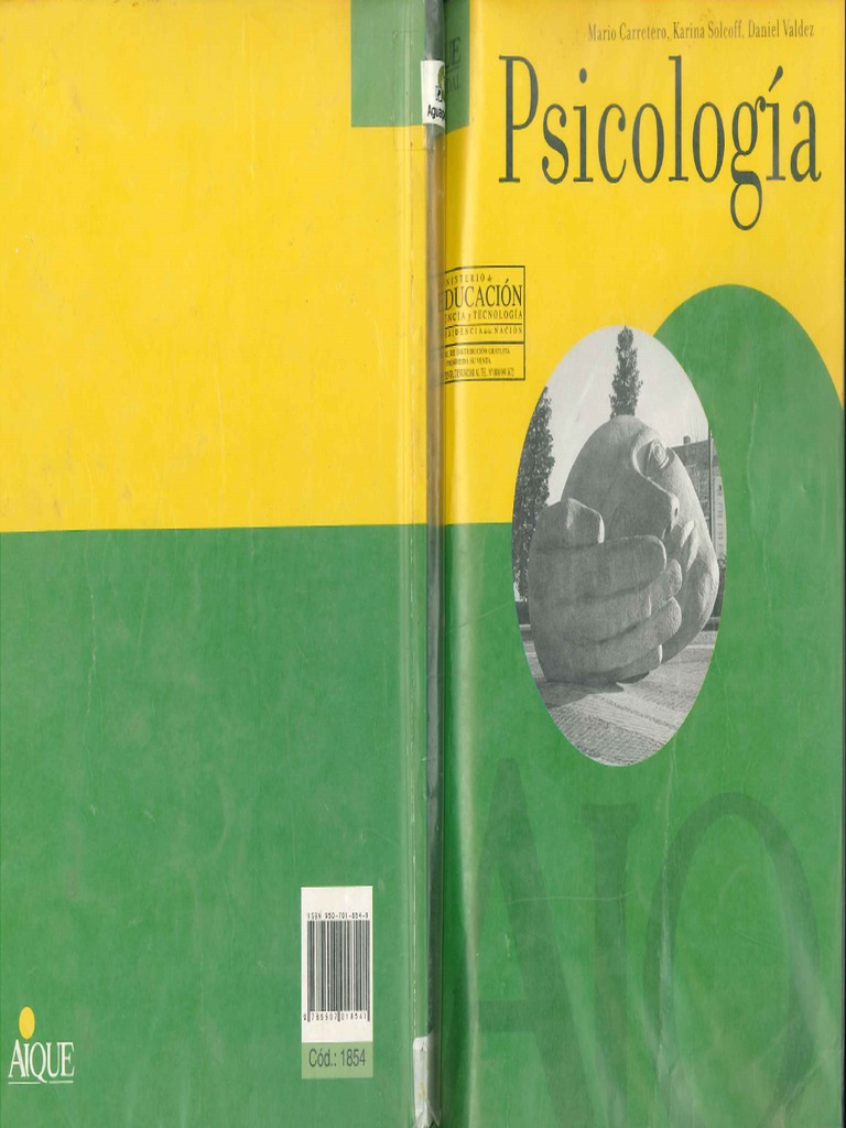 Libro de Psicologia - Mario Carretero | PDF