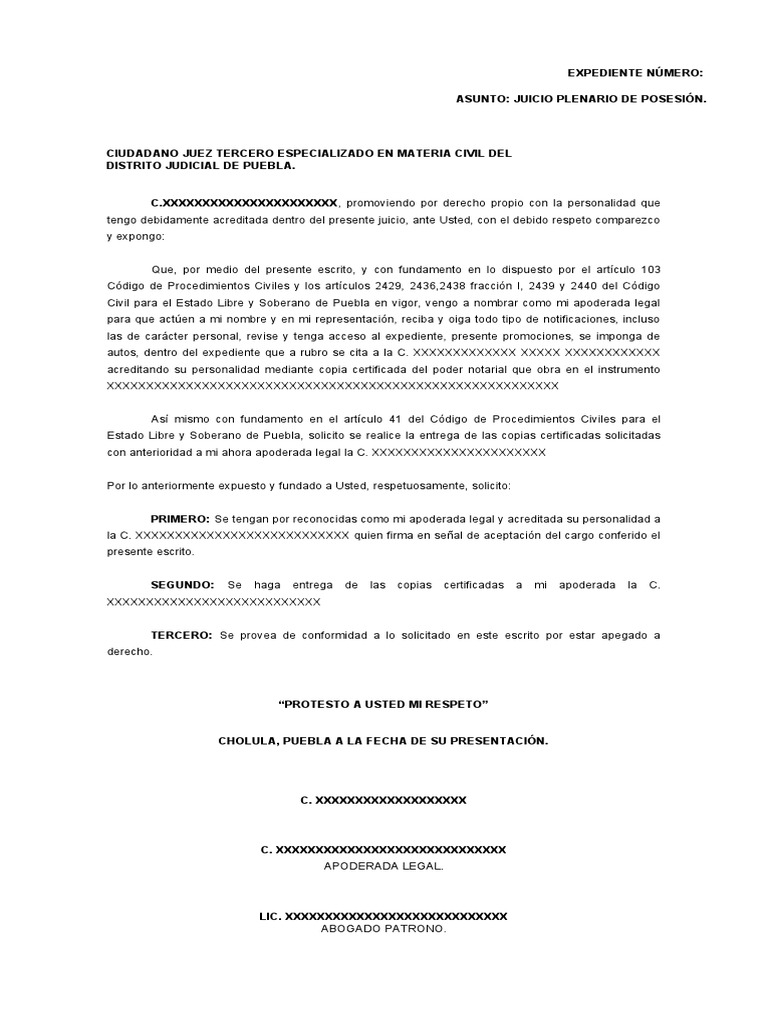 Escrito para Nombrar Apoderado Legal | PDF | Gobernancia | Instituciones sociales