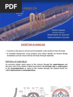 Myxine: Classification and Characteristics | PDF | Skeleton | Gill