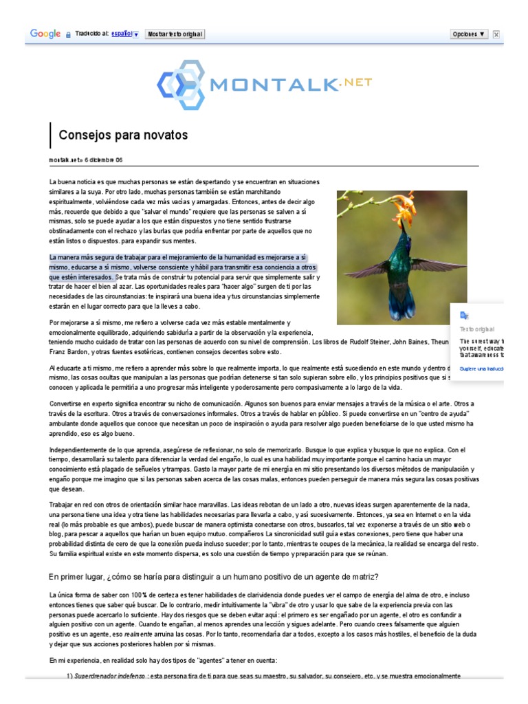 Consejos Para Novatos Pdf Experiencia Sueño