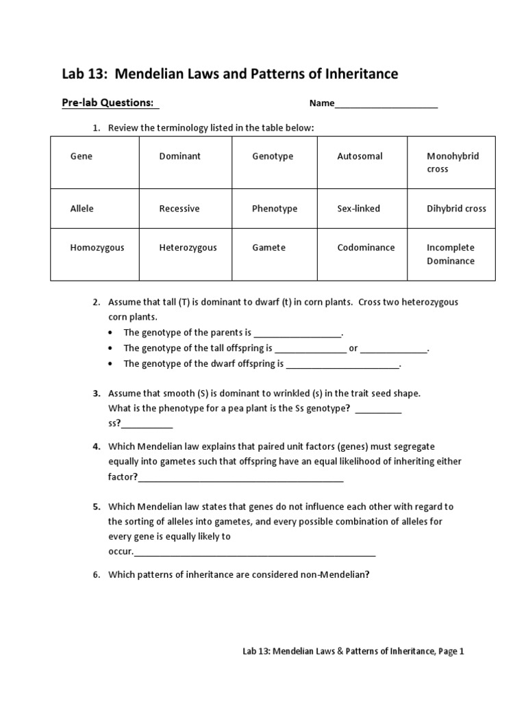 Genetics Lab: Inheritance Patterns | PDF | Genotype | Dominance (Genetics)