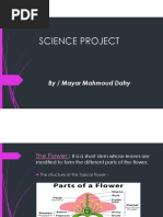 Flower | PDF | Plant Reproduction | Flowers