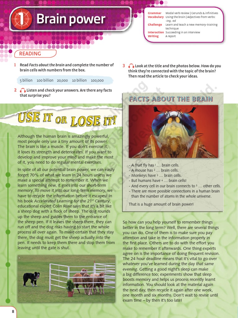 Achievers B2 Students Book | PDF | Memory | Question