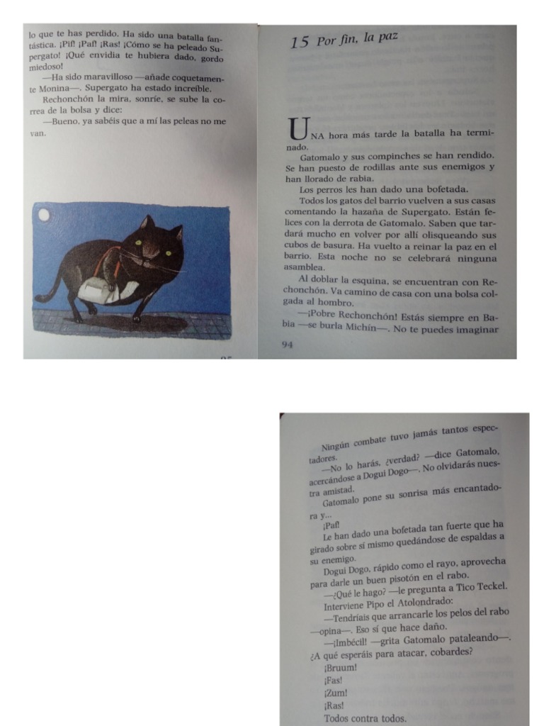 El Super Gato | PDF