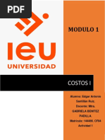 Identificación Específica | PDF | Inventario | Contabilidad