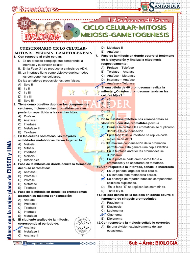 Ciclo Celular-Mitosis-Meiosis-Gameto | PDF | Mitosis | Mitosis