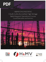 SPEN Authorisation Guide - 01-08-23 | PDF | Electrical Substation | Safety