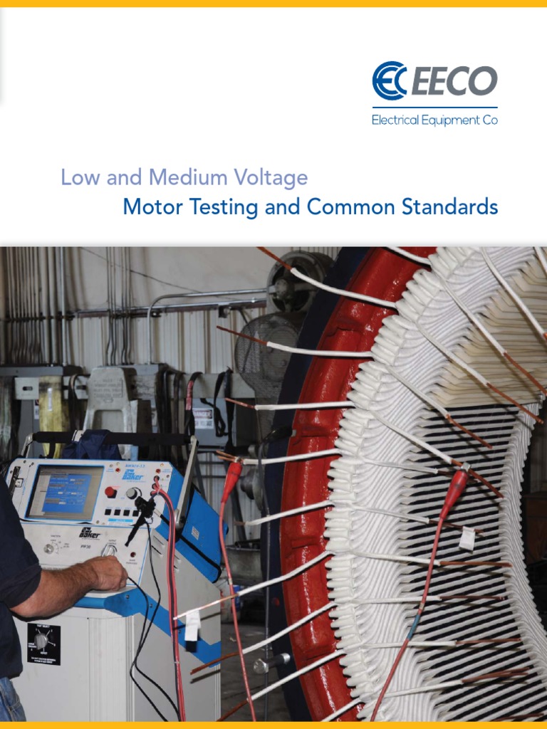 Low and Medium Voltage: Motor Testing and Common Standards | PDF ...