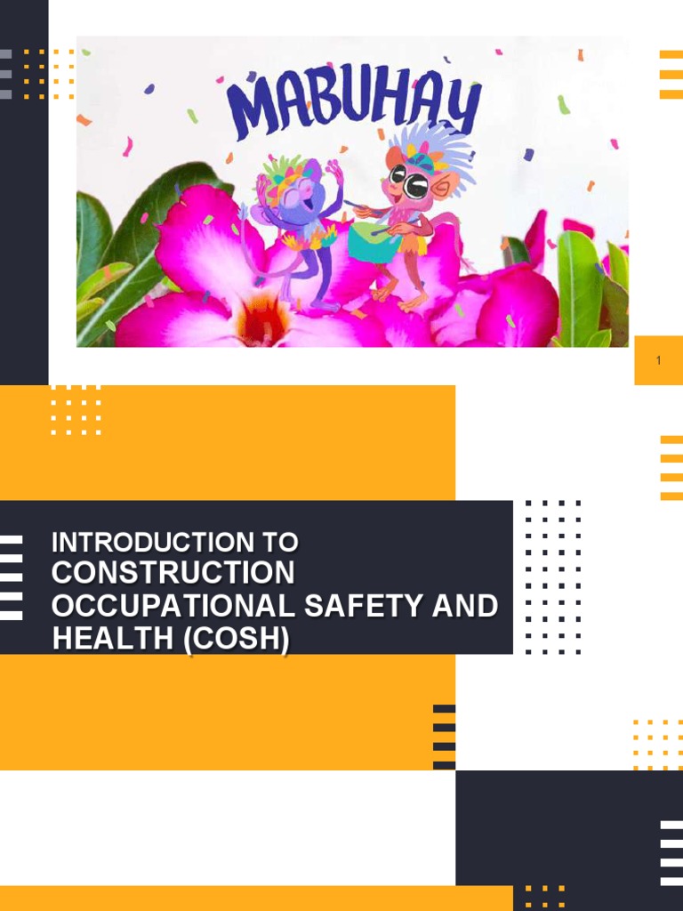 Introduction to COSH Training Program | PDF | Occupational Safety And ...
