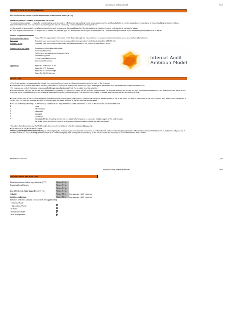 Internal Audit Ambition Model Final | PDF | Internal Audit | Audit