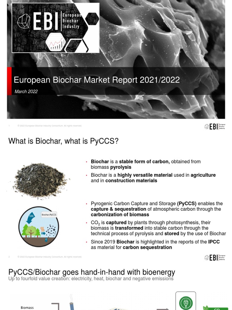 European Biochar Market Report 2021/2022: March 2022 | PDF | Carbon ...