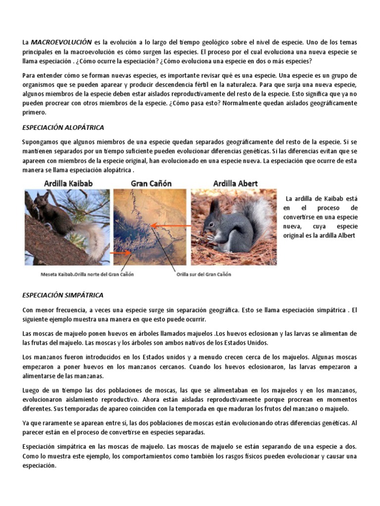 MACROEVOLUCIÓN y COEVOLUCION | PDF | Evolución | Adaptación