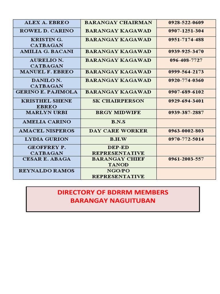 BDRRM DIRECTORY | PDF