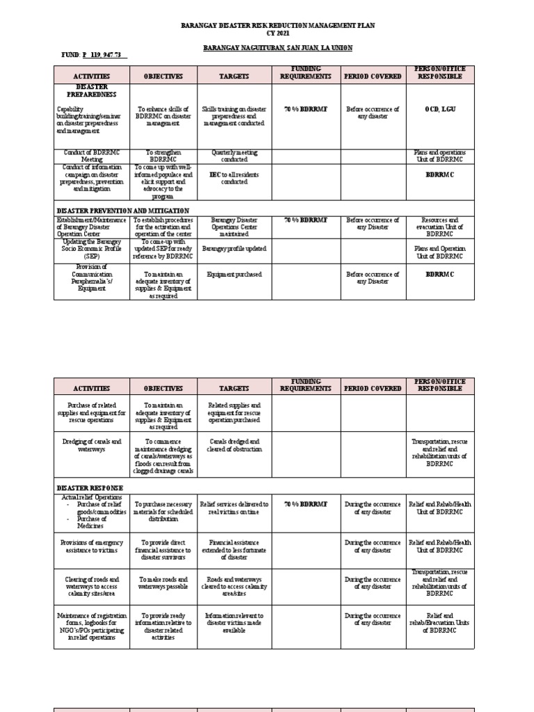 Barangay Disaster Risk Reduction Management Plan | PDF | Emergency ...