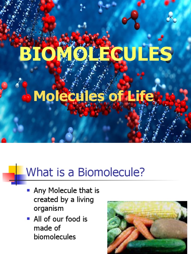 Biomolecules: Molecules of Life | PDF | Carbohydrates | Glucose