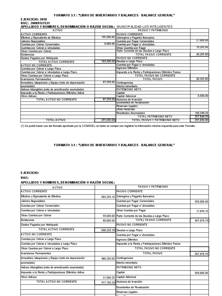 Formato Contable 2021 | PDF | Activo fijo | Contabilidad