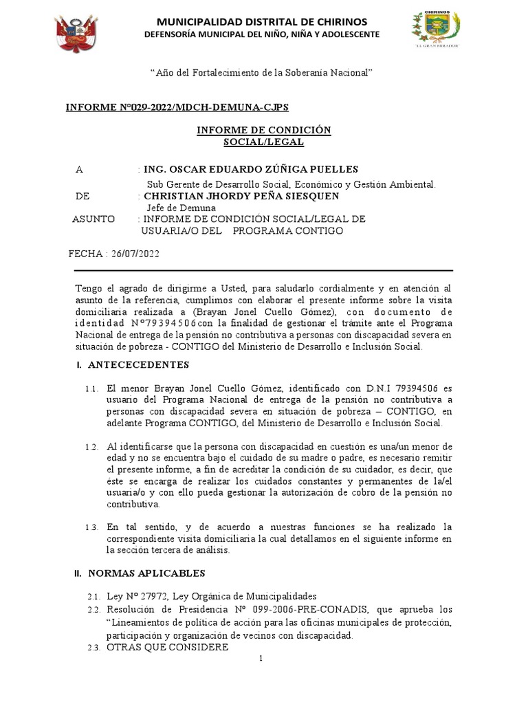 Modelo de Informe Social Legal | PDF | Ciencias sociales | Derecho