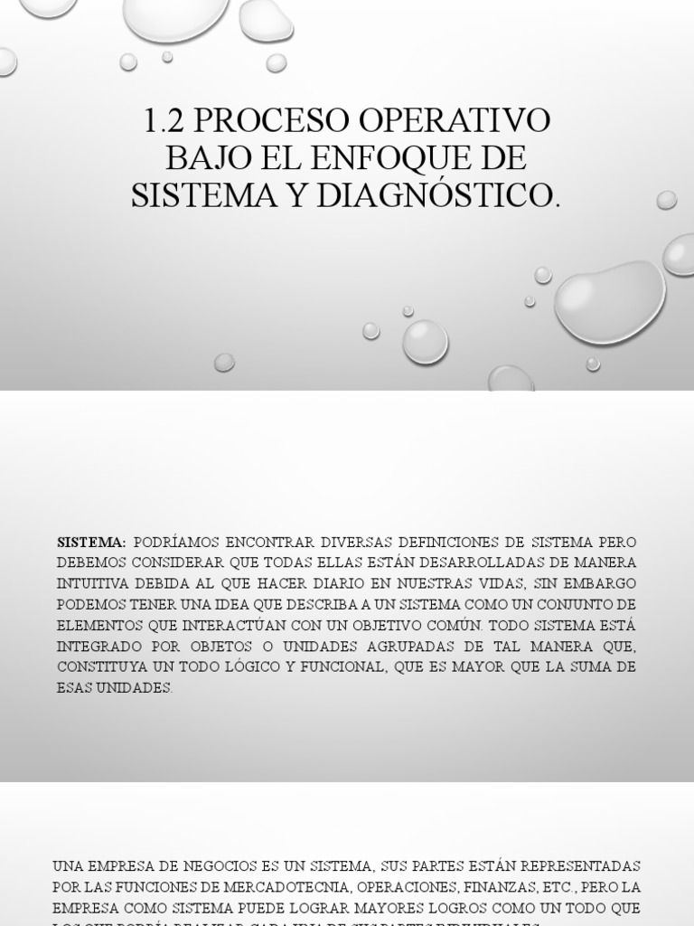 1.2. Proceso Operativo Bajo El Enfoque de Sistema | PDF | Gestión de ...