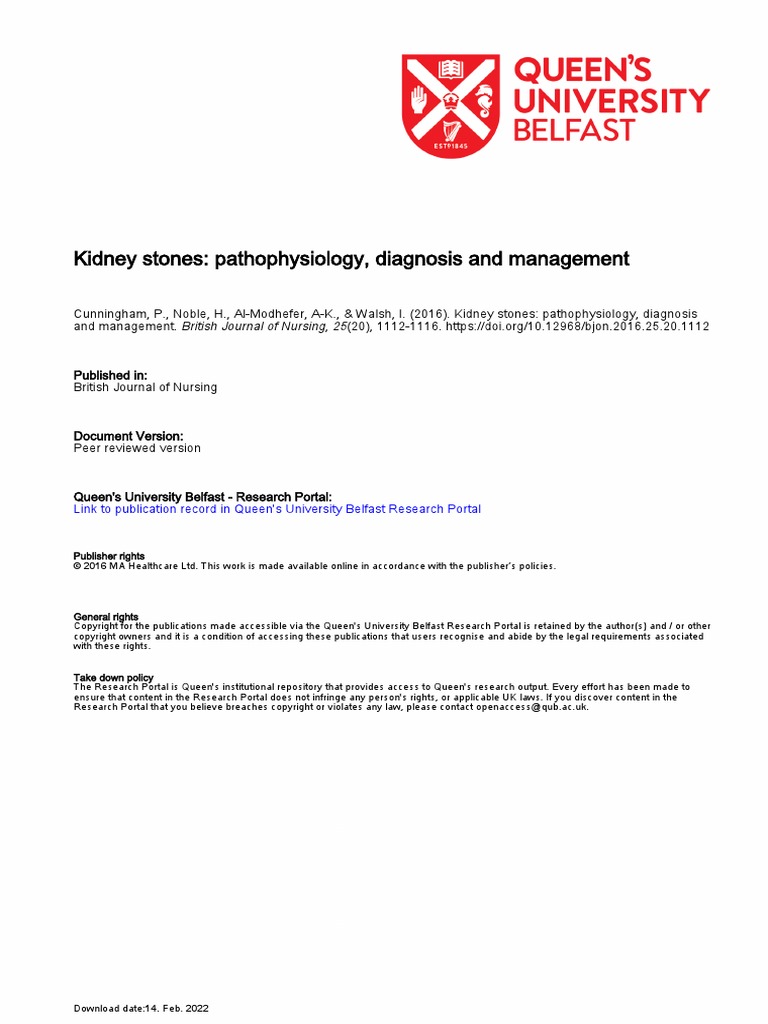 Kidney Stones Pathophysiology, Diagnosis and Management | PDF | Kidney ...