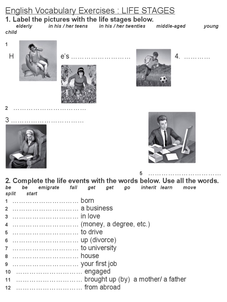 Life Stages Vocabulary Exercises | PDF | Languages | Foreign Language ...