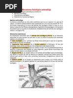 Clasificación de Savary Miller y Los Ángeles | PDF | La enfermedad por ...