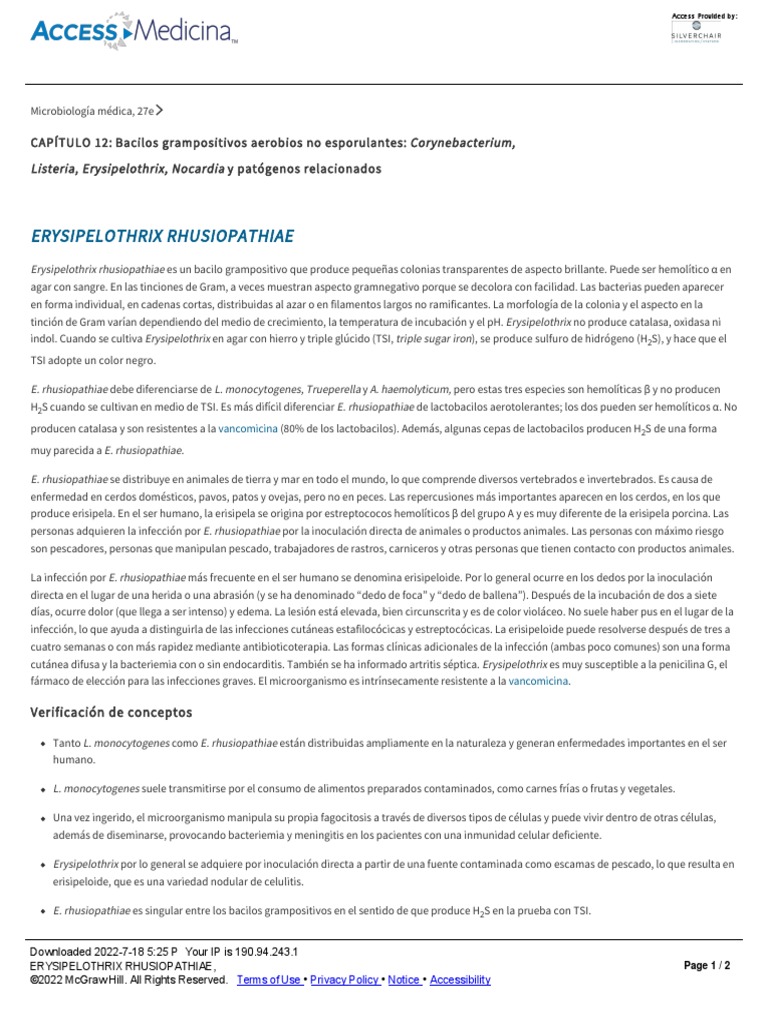 Erysipelothrix Rhusiopathiae | PDF | Mycobacterium | Infección