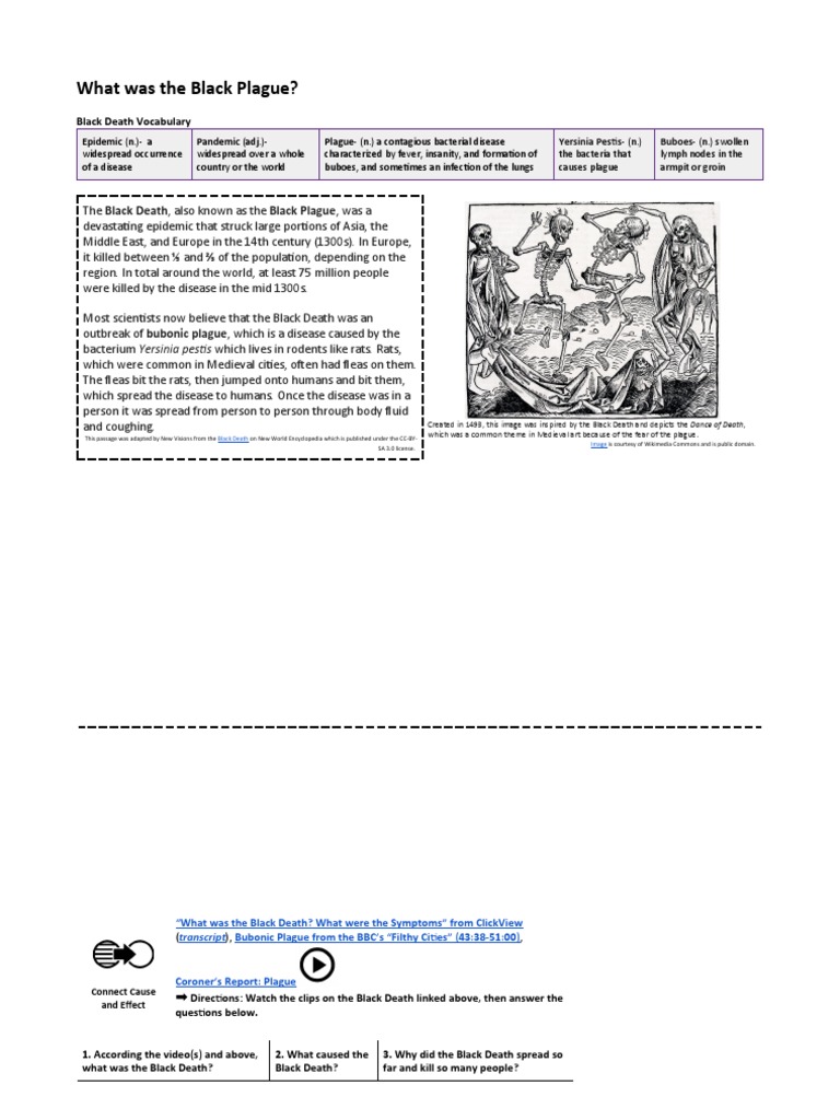 What Was The Black Plague | PDF | Black Death | Animal Diseases