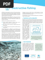 Tidal Fish Traps for Survival Guide | PDF | Tide | Oceanography