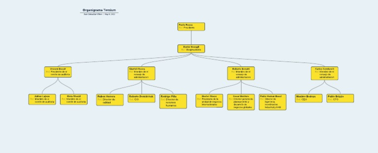 Organigrama Ternium | PDF