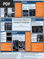 Protocolo Mastitis ABM 2022 | PDF | Breast Milk | Clinical Medicine