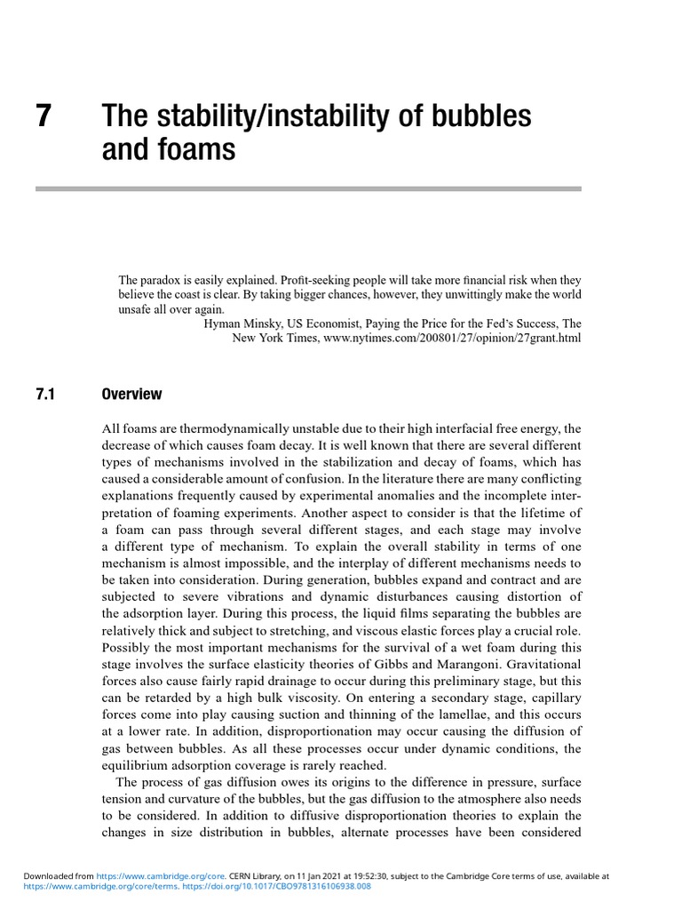 7 The Stability/instability of Bubbles and Foams | PDF | Viscosity | Foam
