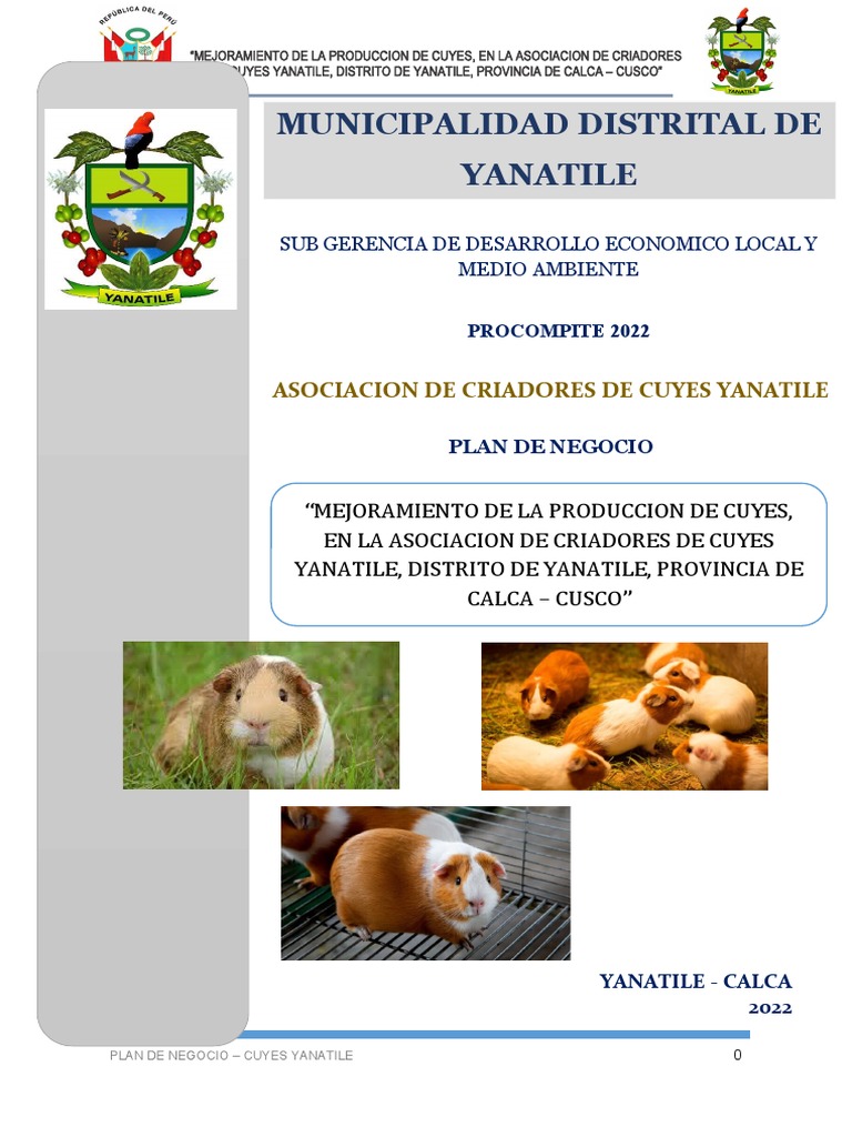 PDN Cuyes Yanatile | PDF | Mínimos cuadrados