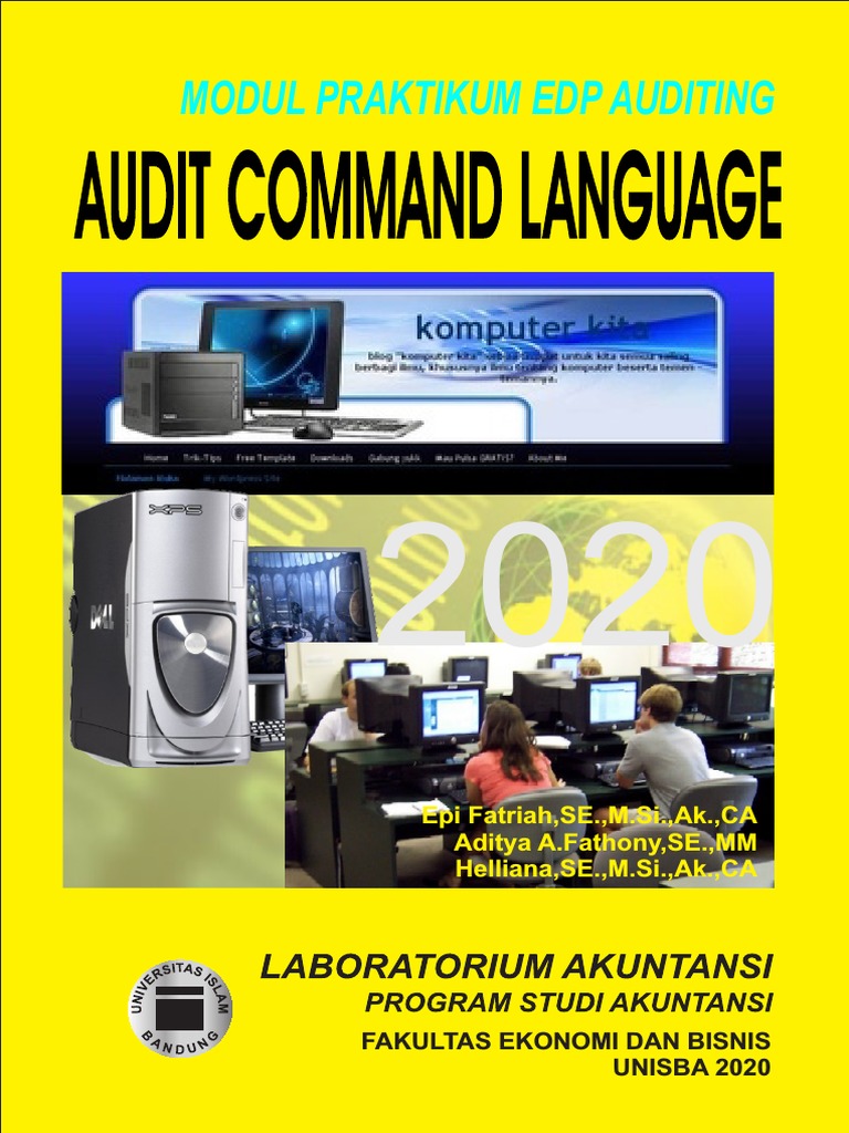 Epi Fitriah-FEB-AK - Audit Command Language (ACL) - 2020 | PDF
