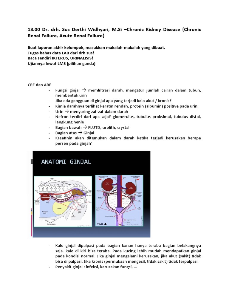 13.CRF Arf | PDF