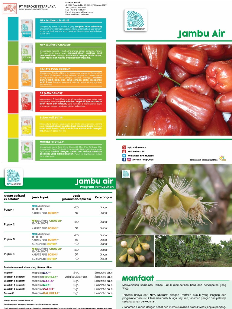 Brosur Program Pemupukan Jambu Air | PDF