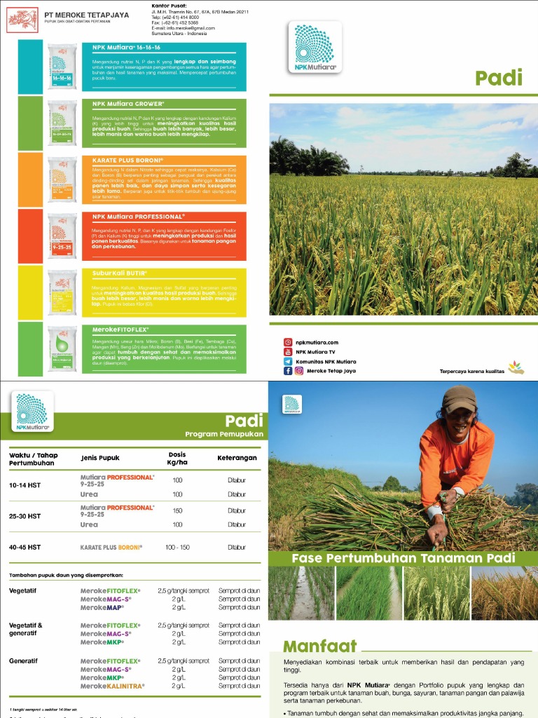 Brosur Program Pemupukan Padi NPK Mutiara PROFESSIONAL | PDF