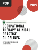 AOTA Occupational Profile Template PDF | PDF | Occupational Therapy ...
