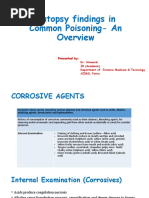 Post Mortem (Pink) INTERPOL DVI Form - Unidentified Human Remains | PDF ...