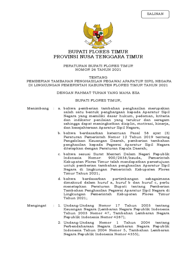 Salinan No.26 TNG Tambahan Penghasilan Asn Final | PDF