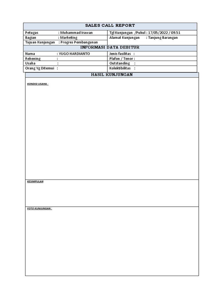 Sales Call Report | PDF