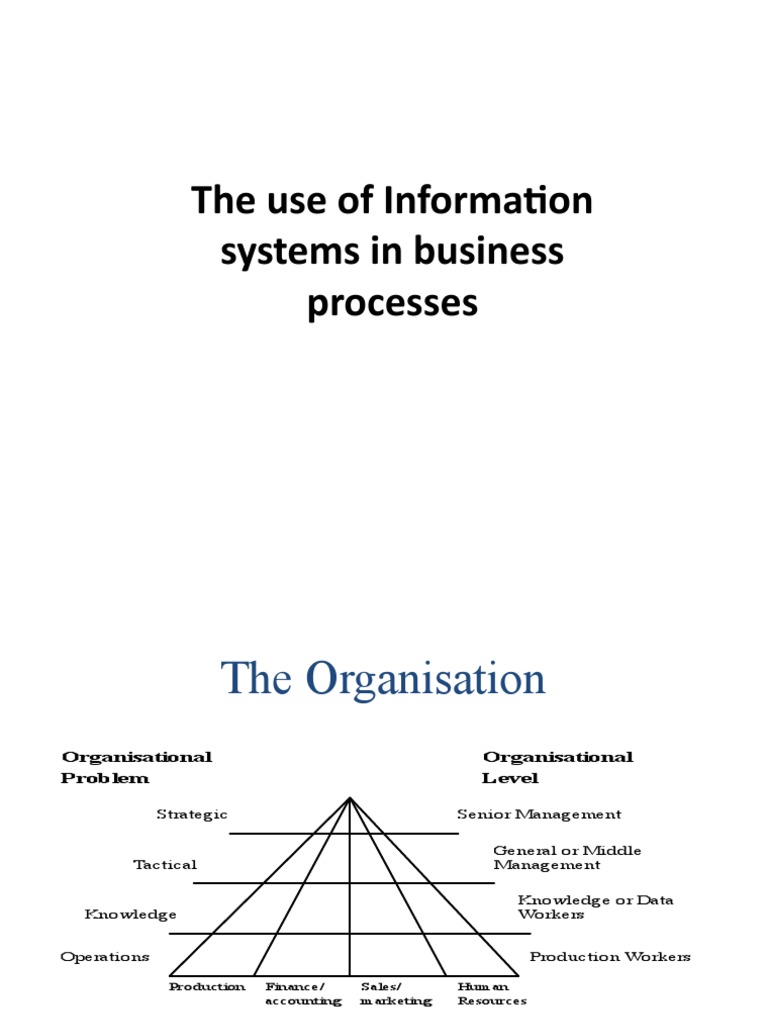 The Use of Information Systems in Business Processes | PDF ...