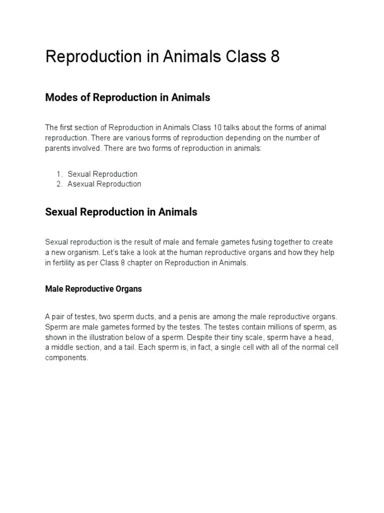 Reproduction in Animals for Class 8 | PDF | Sexual Reproduction ...